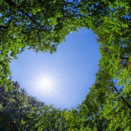 Quadrangular Love Theory and Scale (1 CE) | AATBS